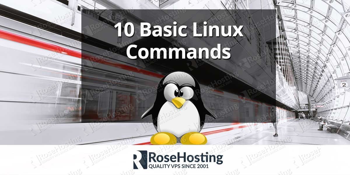 10 Basic Linux Commands For Beginners | RoseHosting 10 Basic Linux Commands For Beginners | RoseHosting