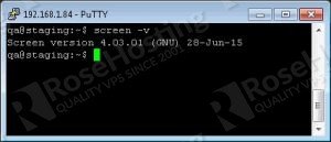 Linux Screen Command | RoseHosting