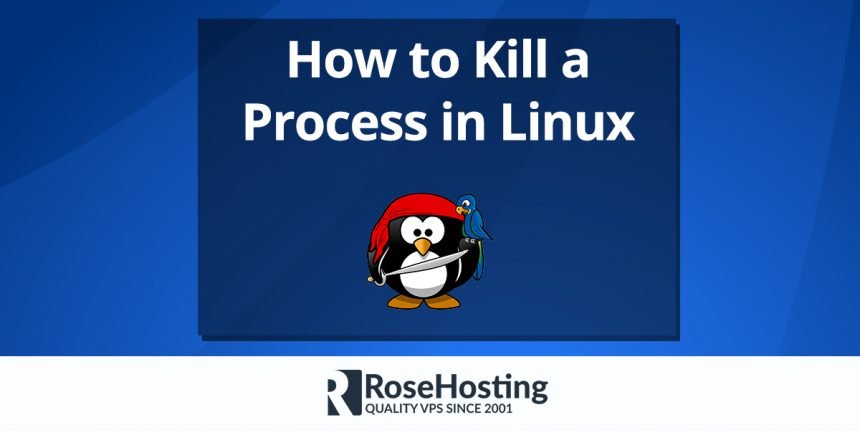 How to Kill a Process in Linux | RoseHosting