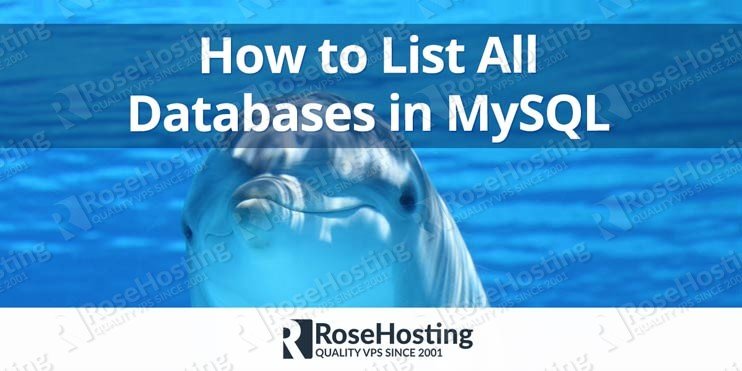 MySQL SHOW DATABASES: List All Databases in MySQL MySQL SHOW DATABASES: List All Databases in MySQL