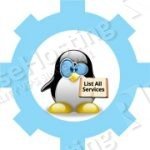 How to List All Running Services in Linux | RoseHosting