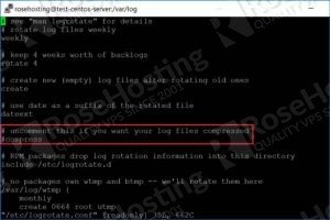 How to Deal with Huge (and Growing) Log Files in Linux | RoseHosting