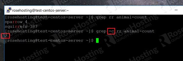 Linux Grep Guide For Advanced Users RoseHosting