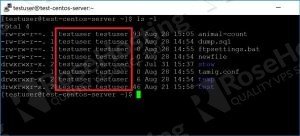 How to Create Human Readable Output with Linux Commands | RoseHosting