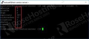 How to Create Human Readable Output with Linux Commands | RoseHosting