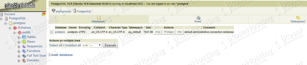 How to Install phpPgAdmin on Ubuntu 18.04 | RoseHosting