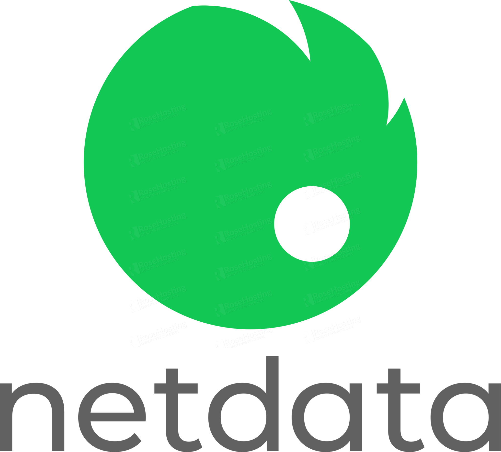 How to Install Netdata Monitoring Tool on Ubuntu 20.04 | RoseHosting