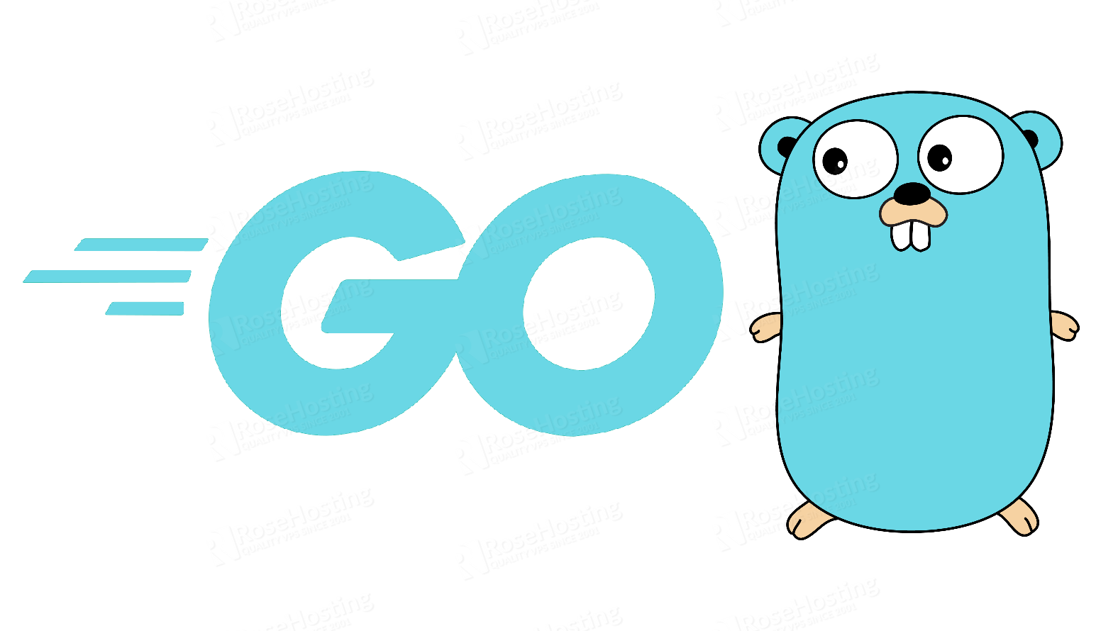 How To Install Go Golang Compiler On Ubuntu 2004 Rosehosting