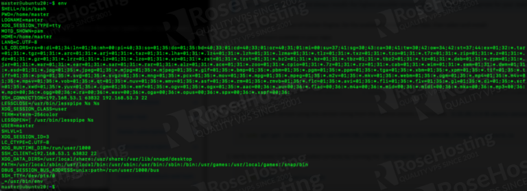 How to Set Environment Variables in Docker | RoseHosting