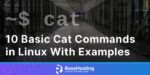 10 basic cat commands in Linux with examples | RoseHosting