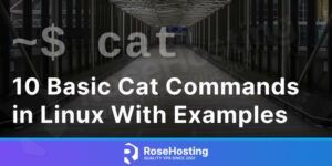 10 basic cat commands in Linux with examples | RoseHosting