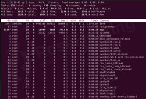 Linux List Processes – How to Check Running Processes | RoseHosting