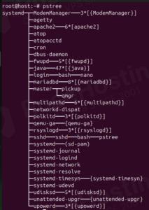 Linux List Processes – How to Check Running Processes | RoseHosting