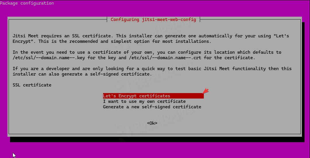 Install Jitsi on Ubuntu 24.04 | RoseHosting